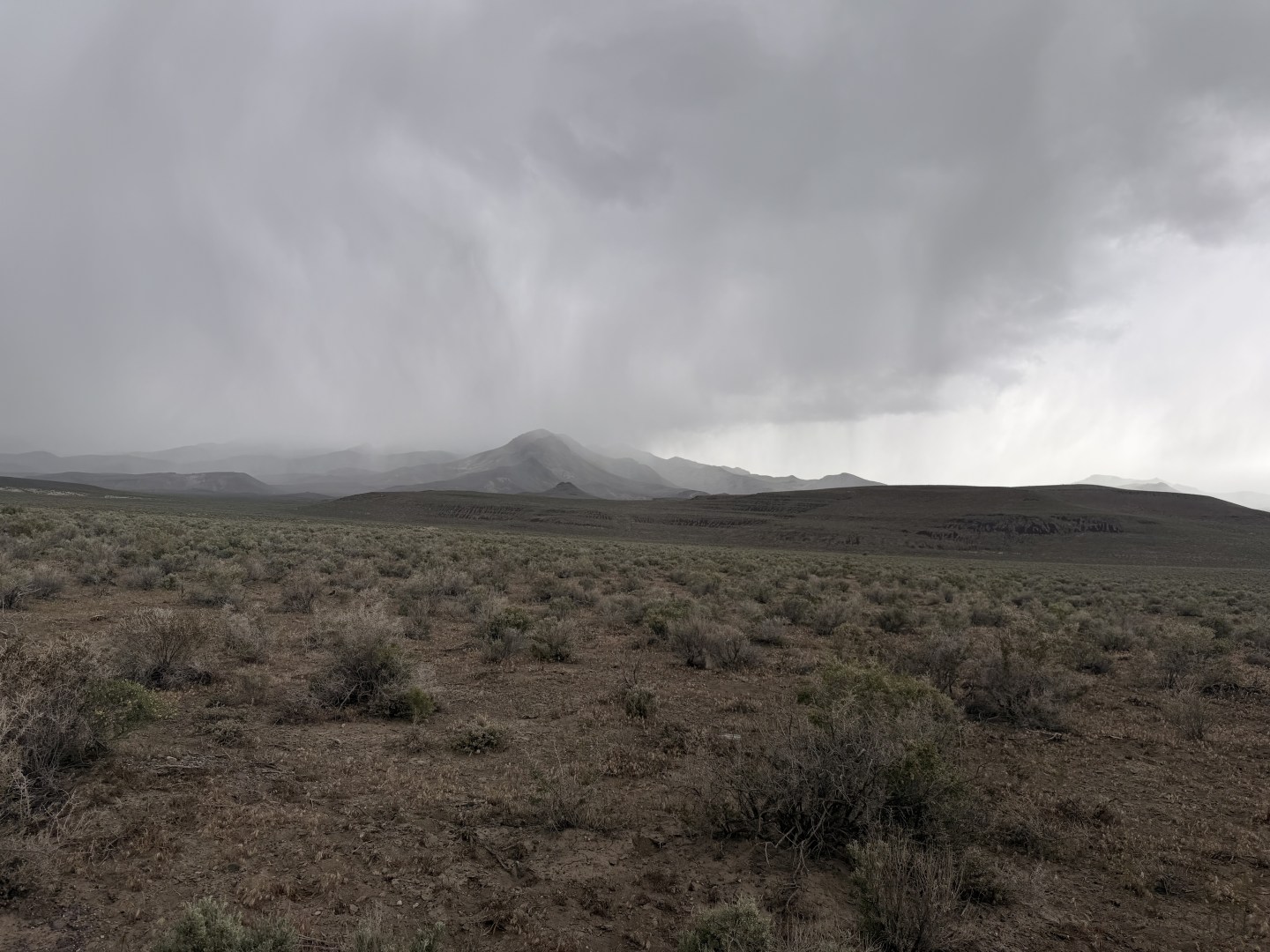 Unpredictability and Adventure in the Austere Black Rock Desert ...